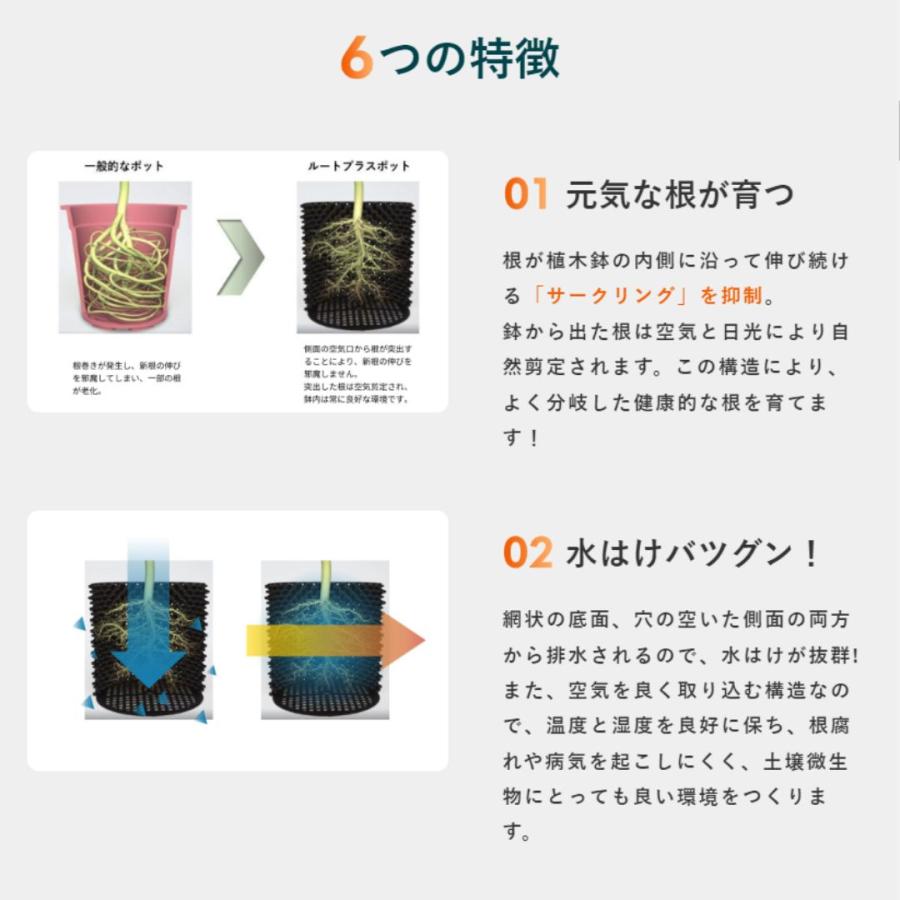 RootPlus 30cmタイプ 植木鉢 小型 | 10号 プランター 根腐れ ルーピング防止 軽い おしゃれ インテリア ルートプラスポット 南榮工業 : 萩原工業Yahoo!ショップ ...