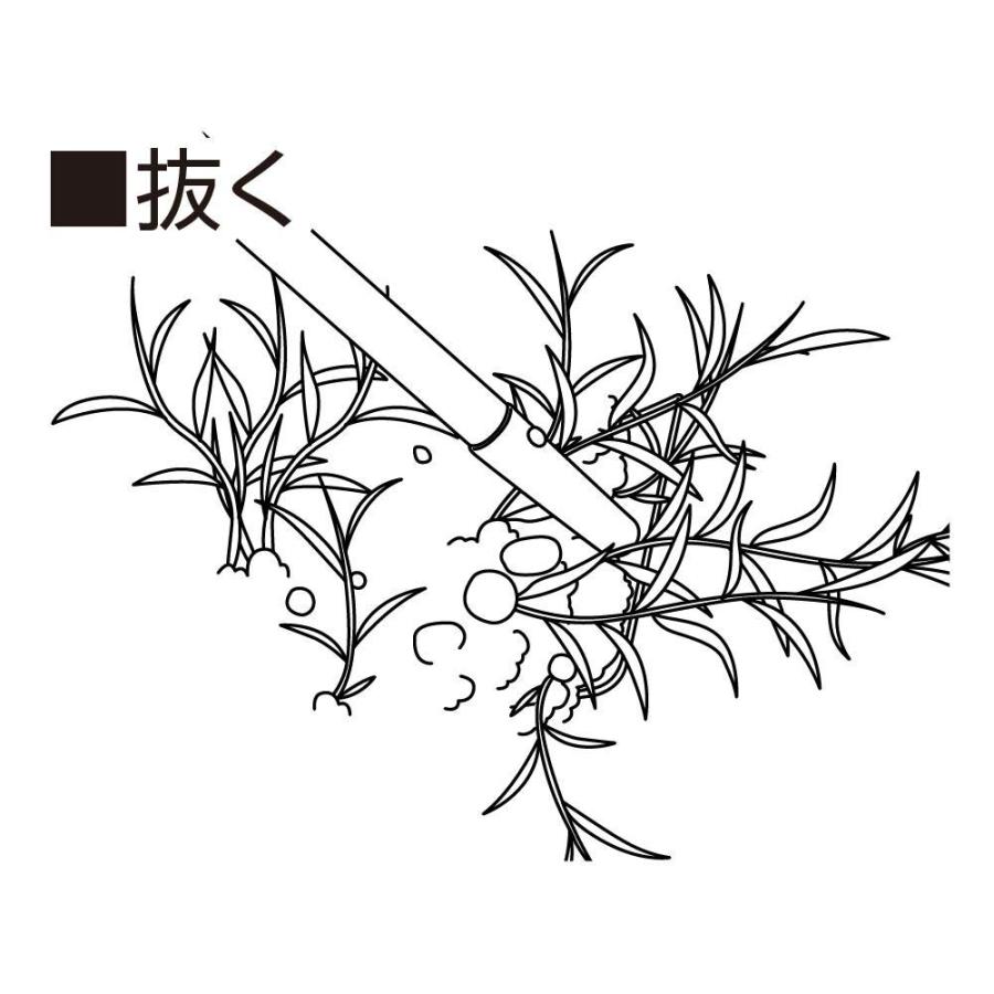 高儀(Takagi) 畑サイクル 鍬レーキ 大 約1050mm : s-b07lb5zqyc-20240615 : はいじストア - 通販 - Yahoo!ショッピング