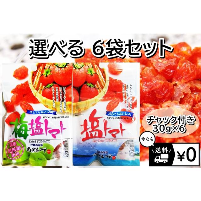 塩トマト110g×1袋 梅塩トマト110g×1袋 お試しセット