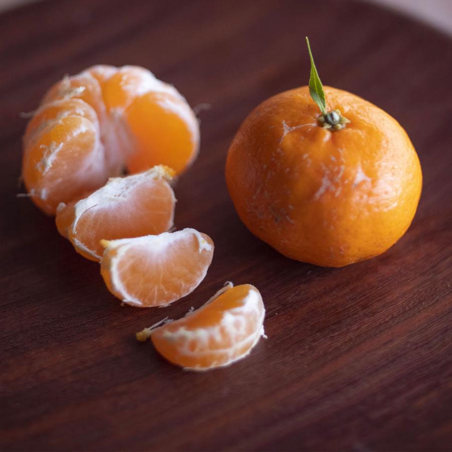 光食品 有機 みかんジュース 190g缶×90本 ( 30本×3ケース ) 果実 柑橘 ジュース 有機JAS ヒカリ オーガニック 送料無料（北海道・東北・沖縄除く） : 量り売りモール ...