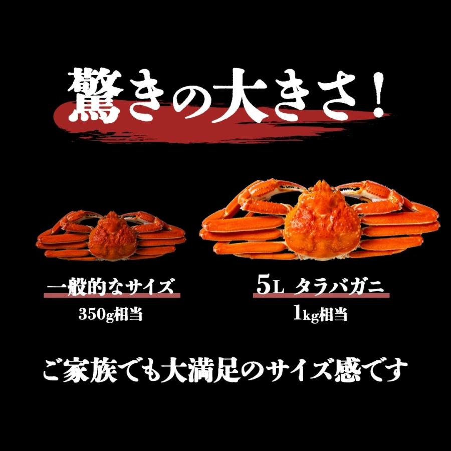 ボイルタラバガニ1kg タラバガニ 特大 1kg 5L 食品 魚介類 カニ お歳暮 むき身 最高級 蟹 かに タラバ : 博多魚匠 - 通販 - Yahoo!ショッピング
