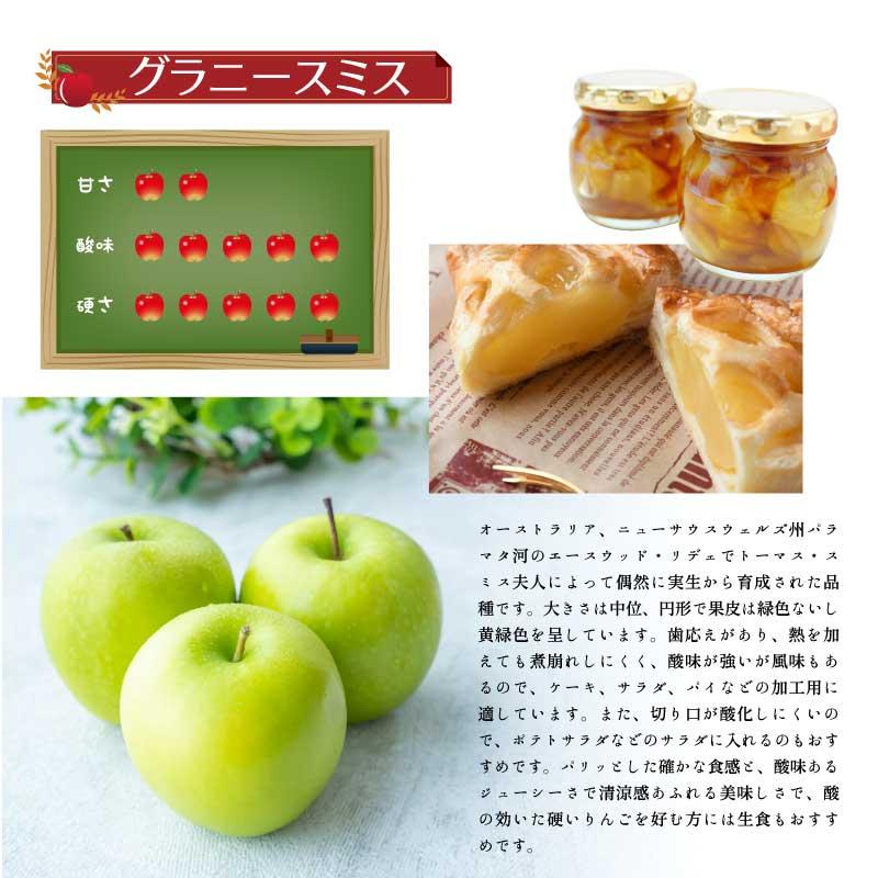 りんご グラニースミス 約5kg 2023年収穫 信州 長野県産 期間限定 :grannysmith-5kg:発掘商会 - 通販 ...