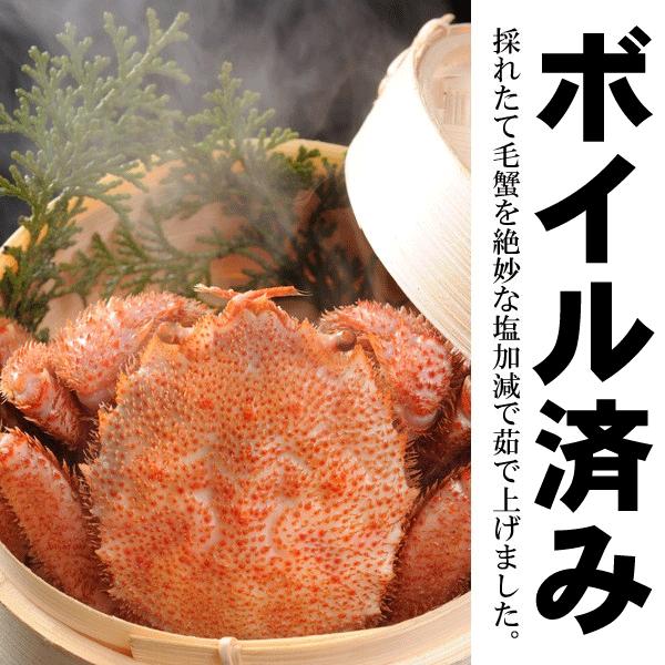 毛ガニ 送料無料 超特大 北海道産 1kg1尾姿 ボイル冷凍 毛蟹 レシピ付き お歳暮 訳あり無し : 函館えさん昆布の会 - 通販 - Yahoo!ショッピング