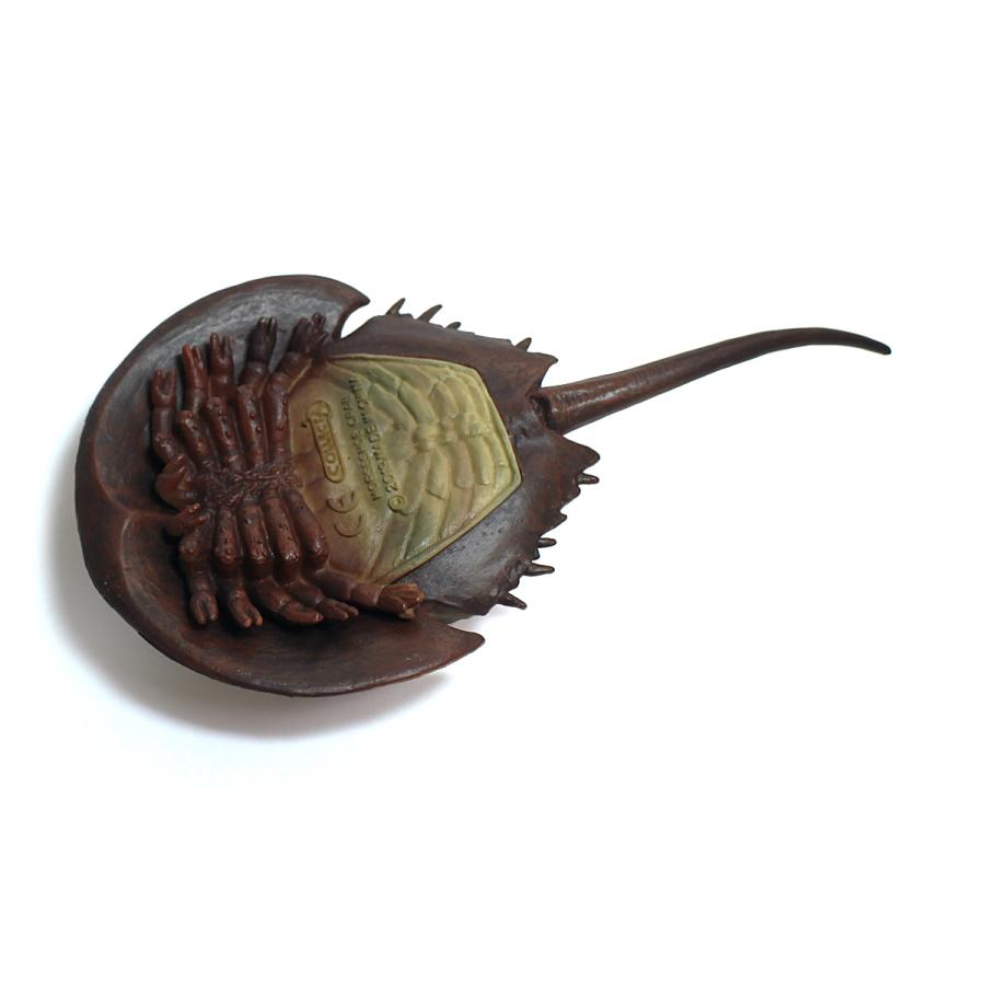コレクタ 古生代生物フィギュア 88905 アメリカカブトガニ Collecta : 動物フィギュアの箱庭 - 通販 - Yahoo!ショッピング