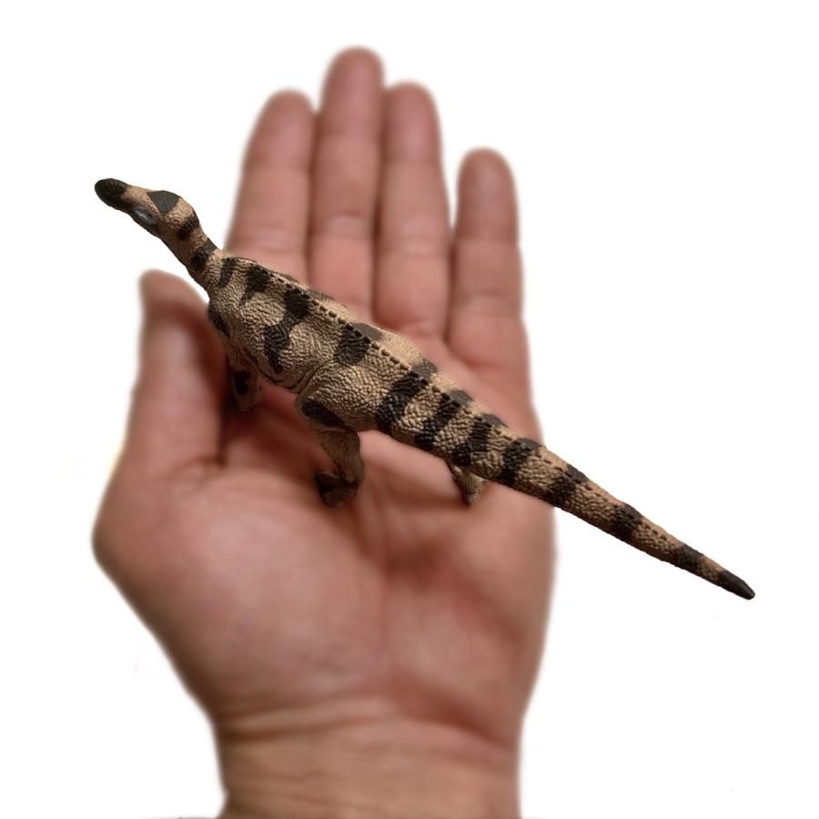 コレクタ 恐竜フィギュア 88973 ブライトネウス Collecta : 61238 : 動物フィギュアの箱庭 - 通販 - Yahoo ...