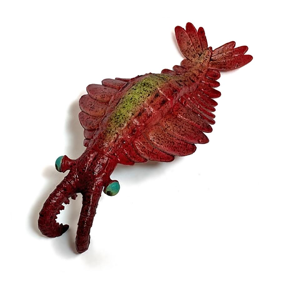 コレクタ 古生代生物フィギュア 88977 アノマロカリス Collecta : 動物フィギュアの箱庭 - 通販 - Yahoo!ショッピング