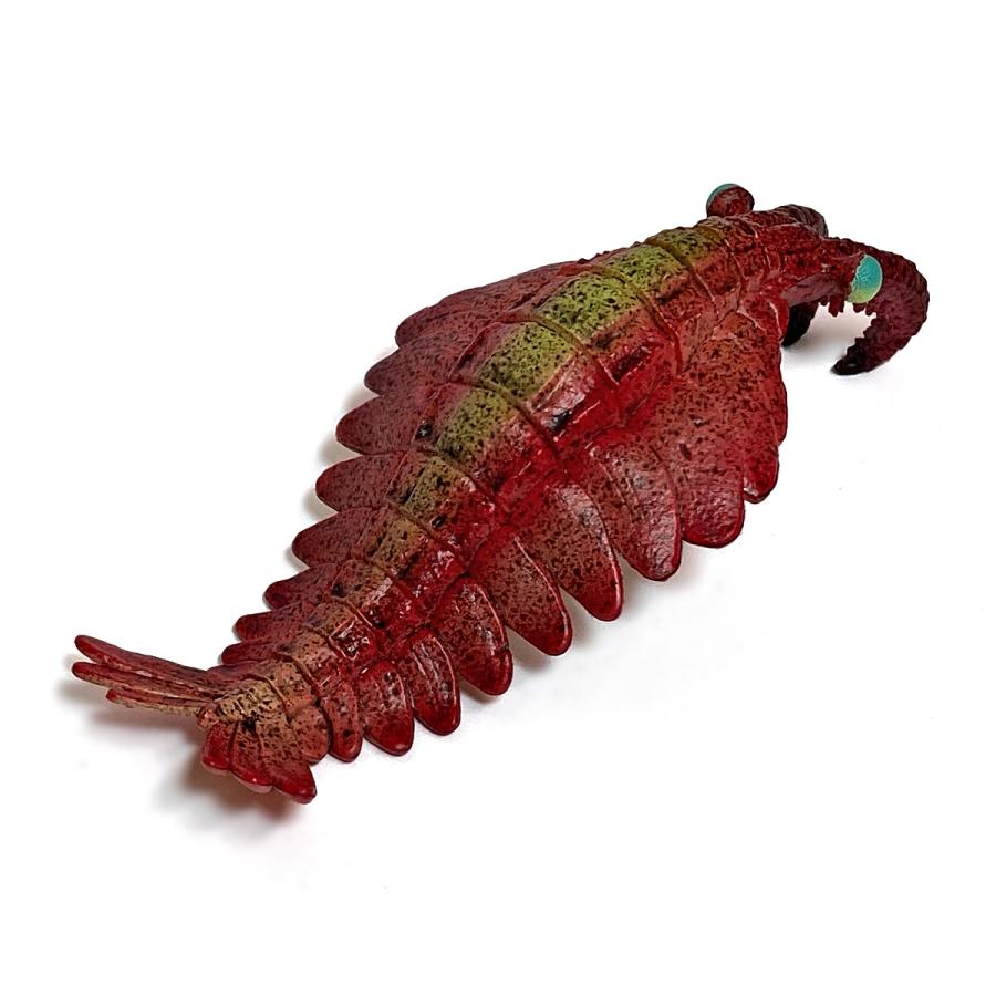 コレクタ 古生代生物フィギュア 88977 アノマロカリス Collecta : 動物フィギュアの箱庭 - 通販 - Yahoo!ショッピング