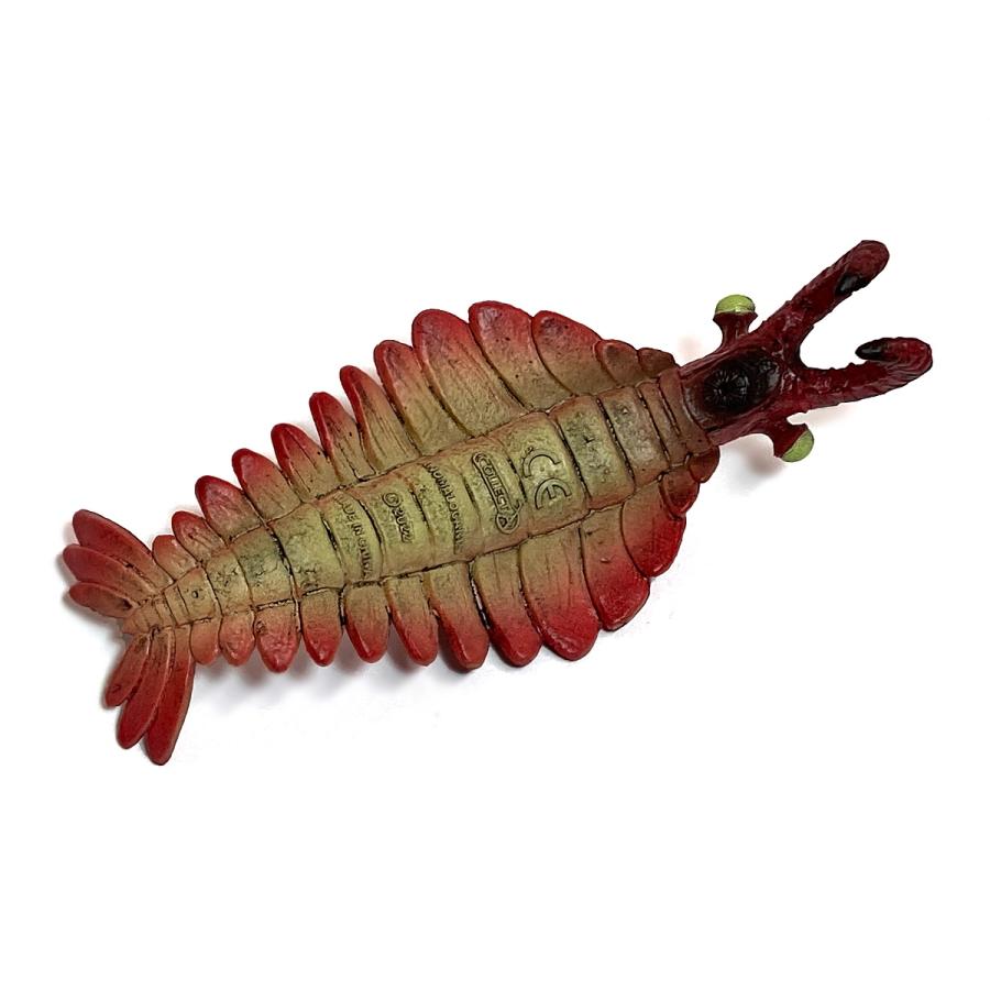 コレクタ 古生代生物フィギュア 88977 アノマロカリス Collecta : 動物フィギュアの箱庭 - 通販 - Yahoo!ショッピング