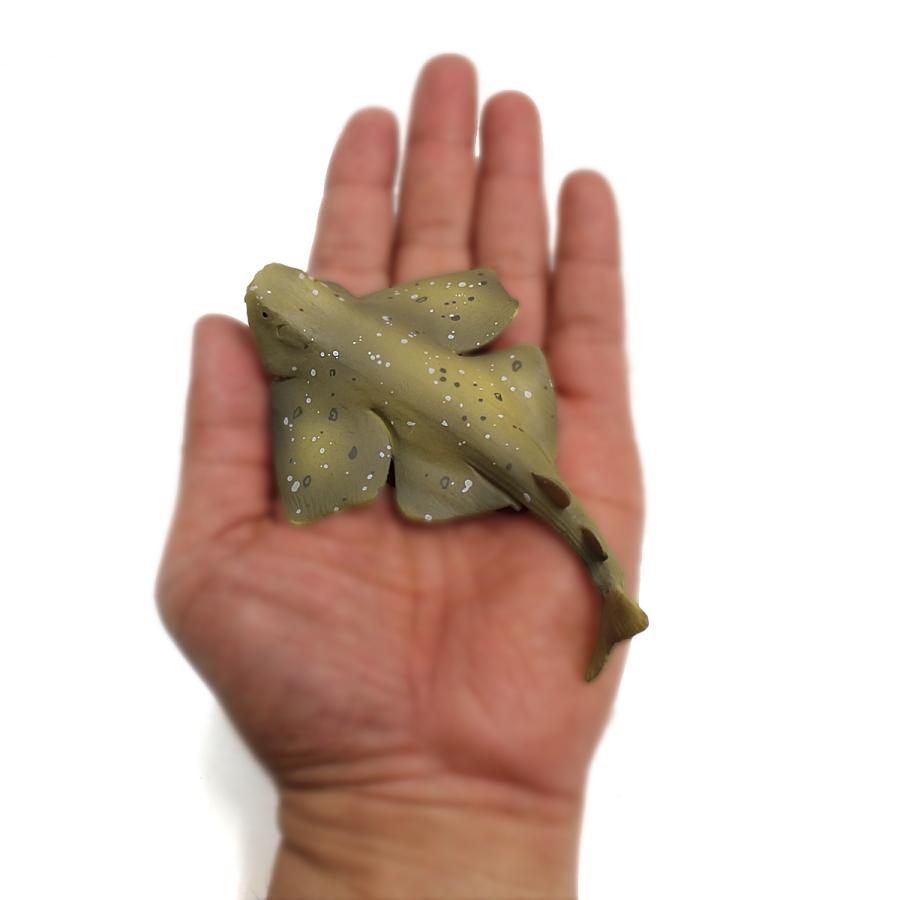 Collecta 88999 ホンカスザメ 動物フィギュア : 動物フィギュアの箱庭 - 通販 - Yahoo!ショッピング