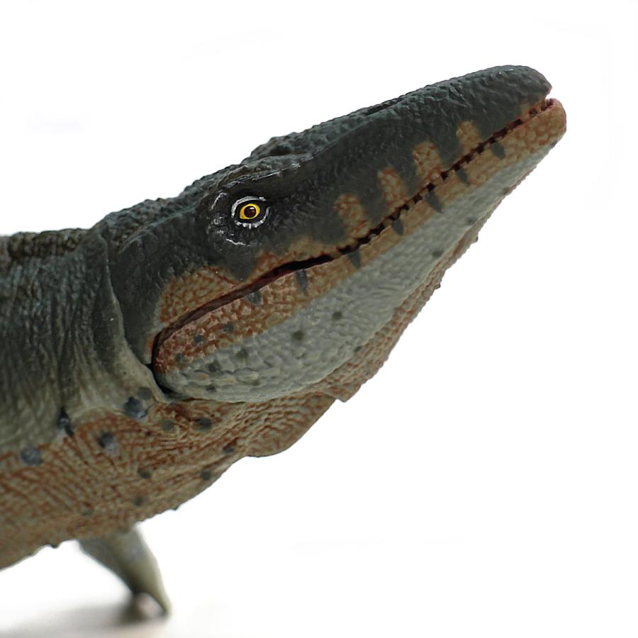 PAPO 恐竜フィギュア 55088 モササウルス : 動物フィギュアの箱庭 - 通販 - Yahoo!ショッピング