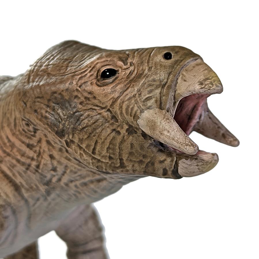 Collecta 80024 プラケリアス 恐竜フィギュア : 動物フィギュアの箱庭 - 通販 - Yahoo!ショッピング