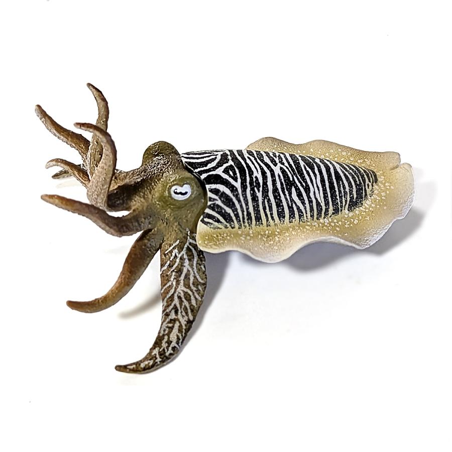 Collecta 80009 コウイカ 動物フィギュア : 動物フィギュアの箱庭 - 通販 - Yahoo!ショッピング