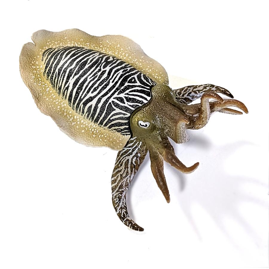Collecta 80009 コウイカ 動物フィギュア : 動物フィギュアの箱庭 - 通販 - Yahoo!ショッピング