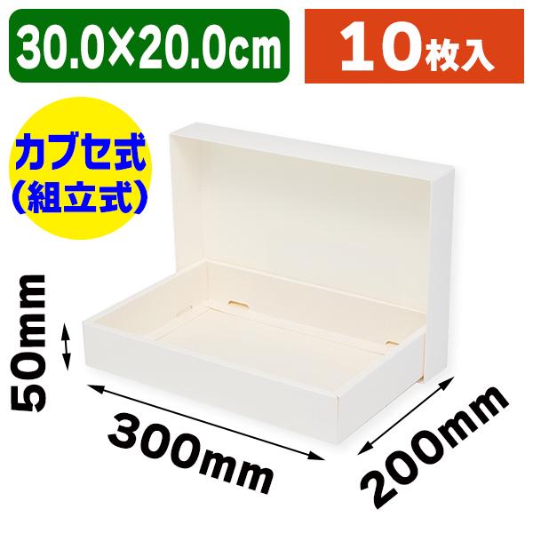 （ギフト箱）ソフィアBOX SO-012/10枚入（K05-4901755723175） : k05-4901755723175 : 箱の店 ...