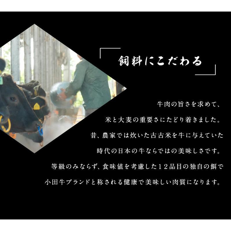 【送料無料】鹿児島黒毛和牛 小田牛のボロネーゼソース×3個セット / 黒毛和牛 小田牛 ボロネーゼ パスタ お祝い （北海道・沖縄別途送料 ...