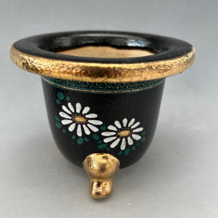 【富貴蘭鉢】186 : ヨネヤマ - 通販 - Yahoo!ショッピング