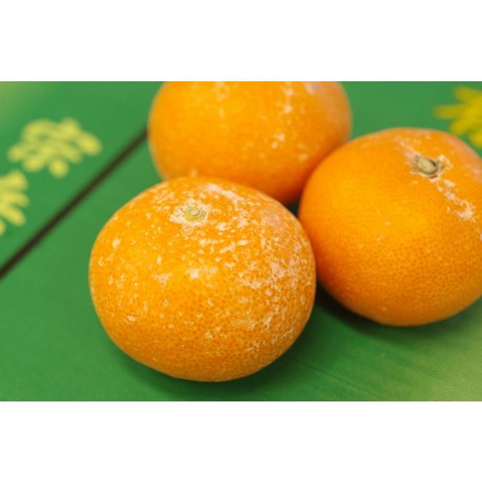 新堂みかん通販 和歌山有田 宗兵衛みかん お歳暮に。5kg 2S〜L : 果物百貨店 浜中屋 - 通販 - Yahoo!ショッピング