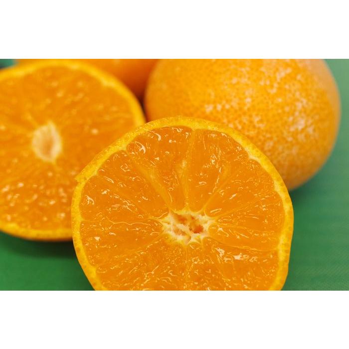 新堂みかん通販 和歌山有田 宗兵衛みかん お歳暮に。2.5kg 2S〜L : 2003 : 果物百貨店 浜中屋 - 通販 - Yahoo!ショッピング