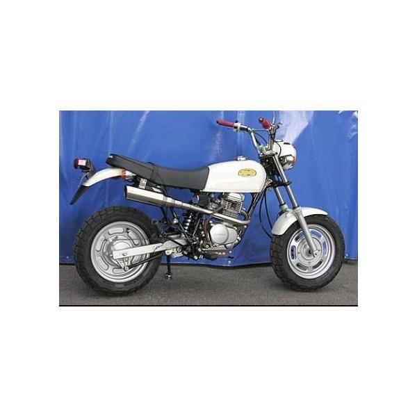 テイストアップマフラー ウイルズウィン（WirusWin）APE（エイプ）100 : バイク メンテ館 - 通販 - Yahoo!ショッピング