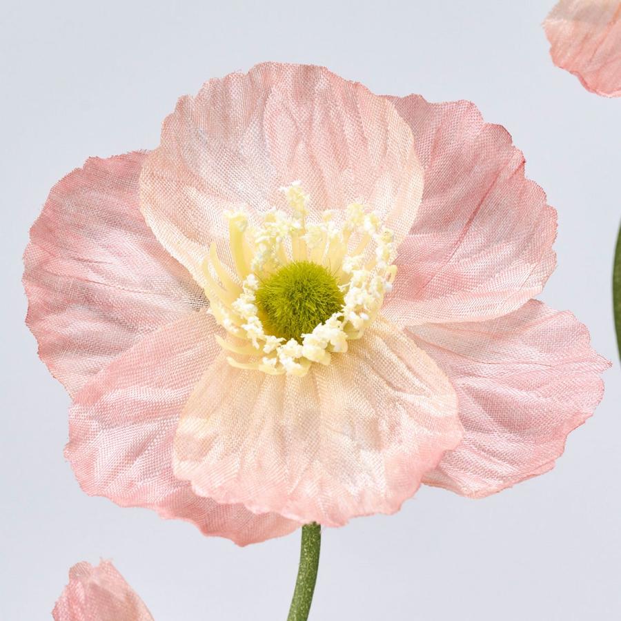 造花 MAGIQ東京堂 エレナポピー ＃6 CR／PE クリームピーチ FM008326-006 造花 花材「は行」 ポピー : 002-42352 : はなどんやアソシエ - 通販 ...