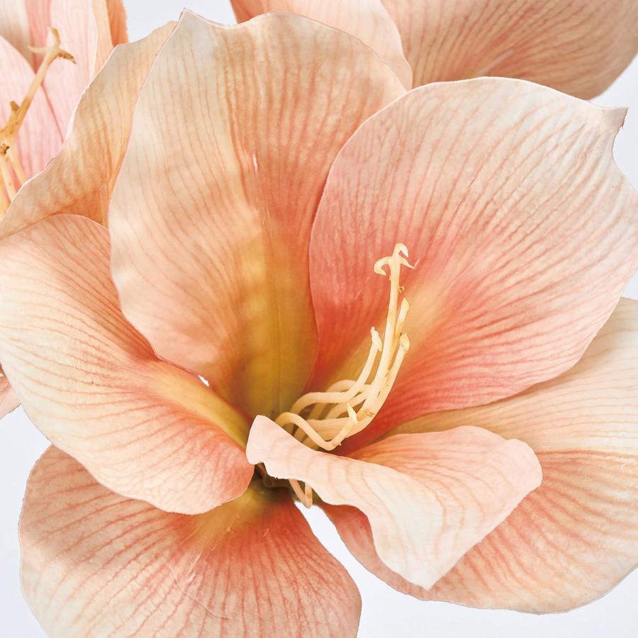 造花 MAGIQ東京堂 リタアマリリス ピーチピンク #6 PE PK FM002423-006 花材「あ行」 アマリリス : はなどんやアソシエ - 通販 - Yahoo!ショッピング