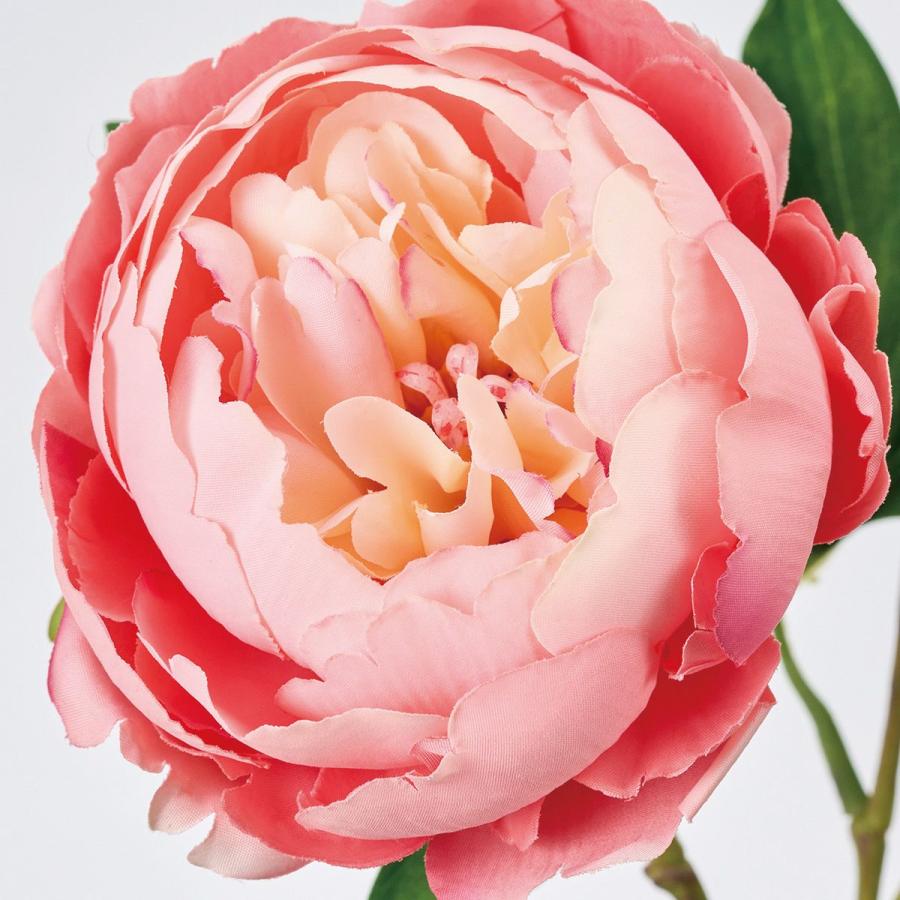 造花 MAGIQ東京堂 コーラルピオニー ピーチピンク #6 PE PK FM003398-006 花材「さ行」 シャクヤク ボタン ピオニー : はなどんやアソシエ - 通販 - Yahoo ...