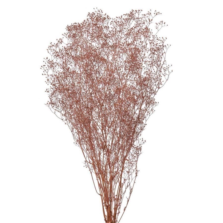 プリザーブド ミニカスミ草 あずき FD004551-078 プリザーブドフラワー花材 カスミ草 : 002-44027 : はなどんやアソシエ - 通販 - Yahoo!ショッピング