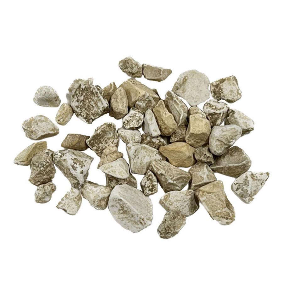 水質改善 鮮度保持 silite シリット 500ml用 GS001351 切花延命剤 栄養剤 その他切花栄養剤 : 002-44929 ...