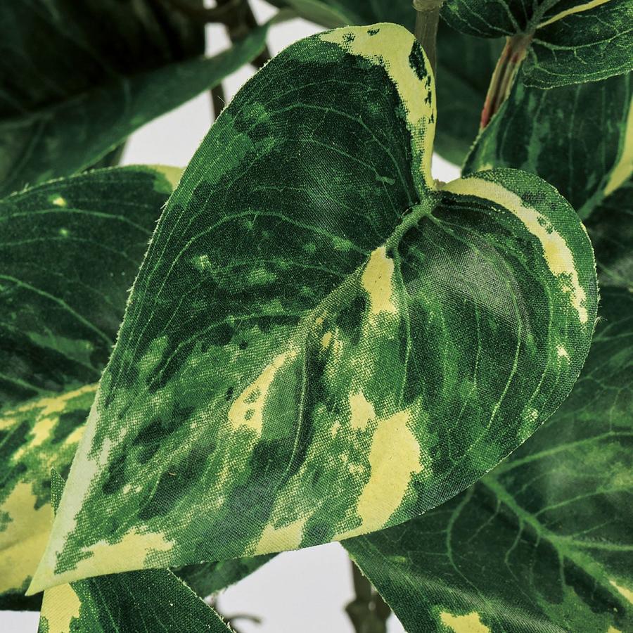 造花 MAGIQ東京堂 難燃斑入りポトスバイン GR YE グリーンイエロー FG612504 造花葉物、フェイクグリーン ポトス : はな ...
