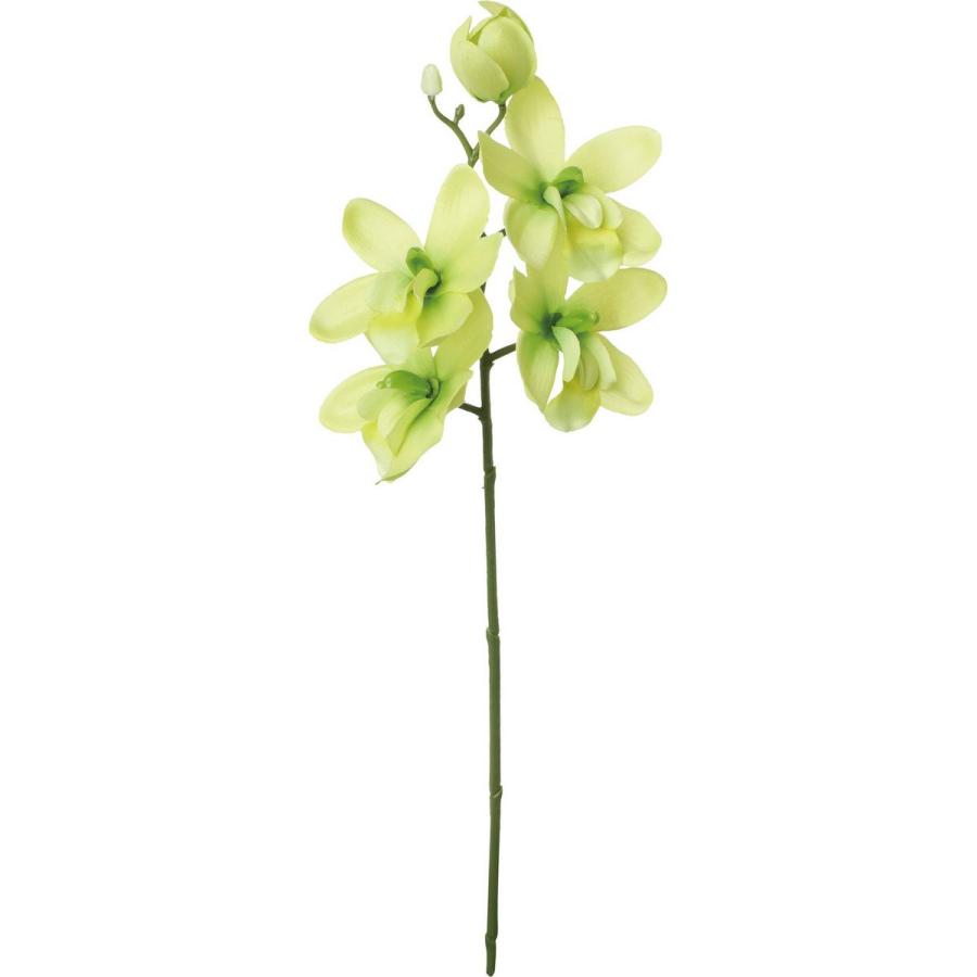 造花 YDM シンビジューム グリーン FFH-0055GR 花材「さ行」 : はなどんやアソシエ - 通販 - Yahoo!ショッピング