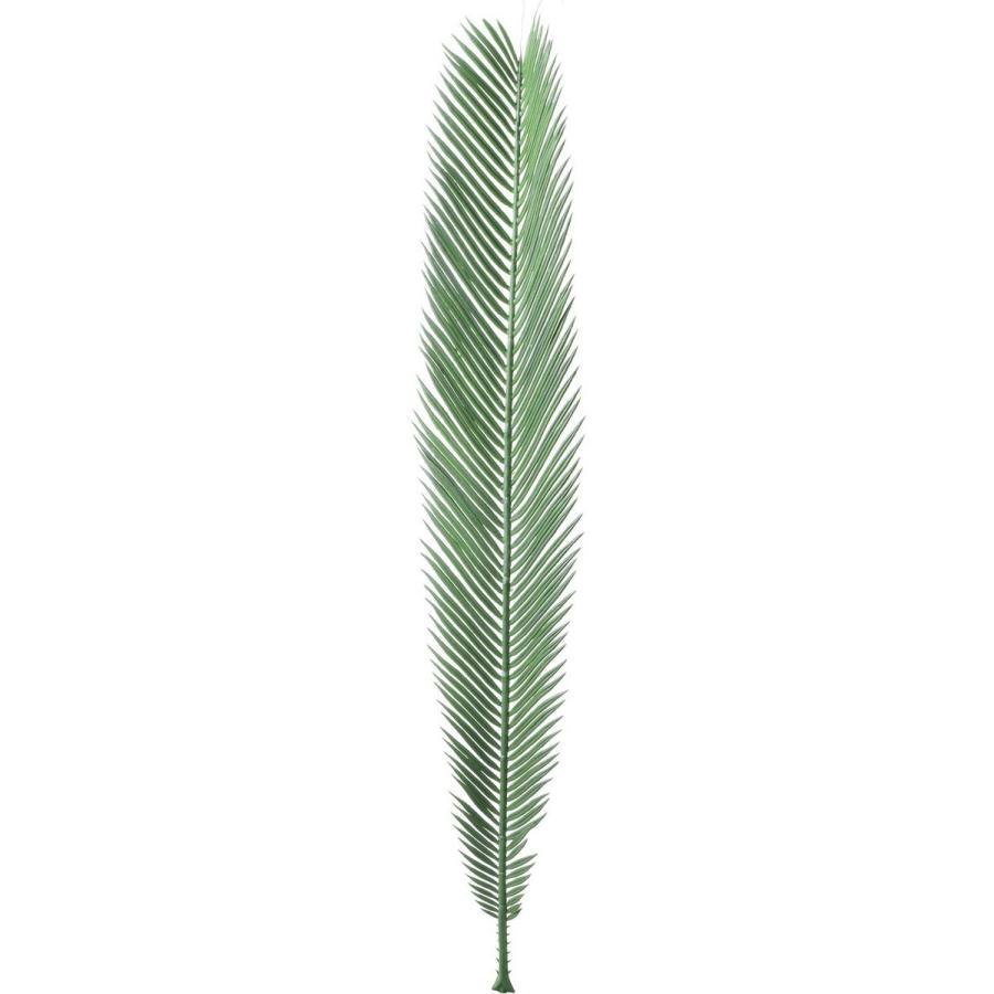 造花 YDM ソテツM グリーン FG-5423-GR 造花葉物、フェイクグリーン その他の造花グリーン : はなどんやアソシエ - 通販 - Yahoo!ショッピング