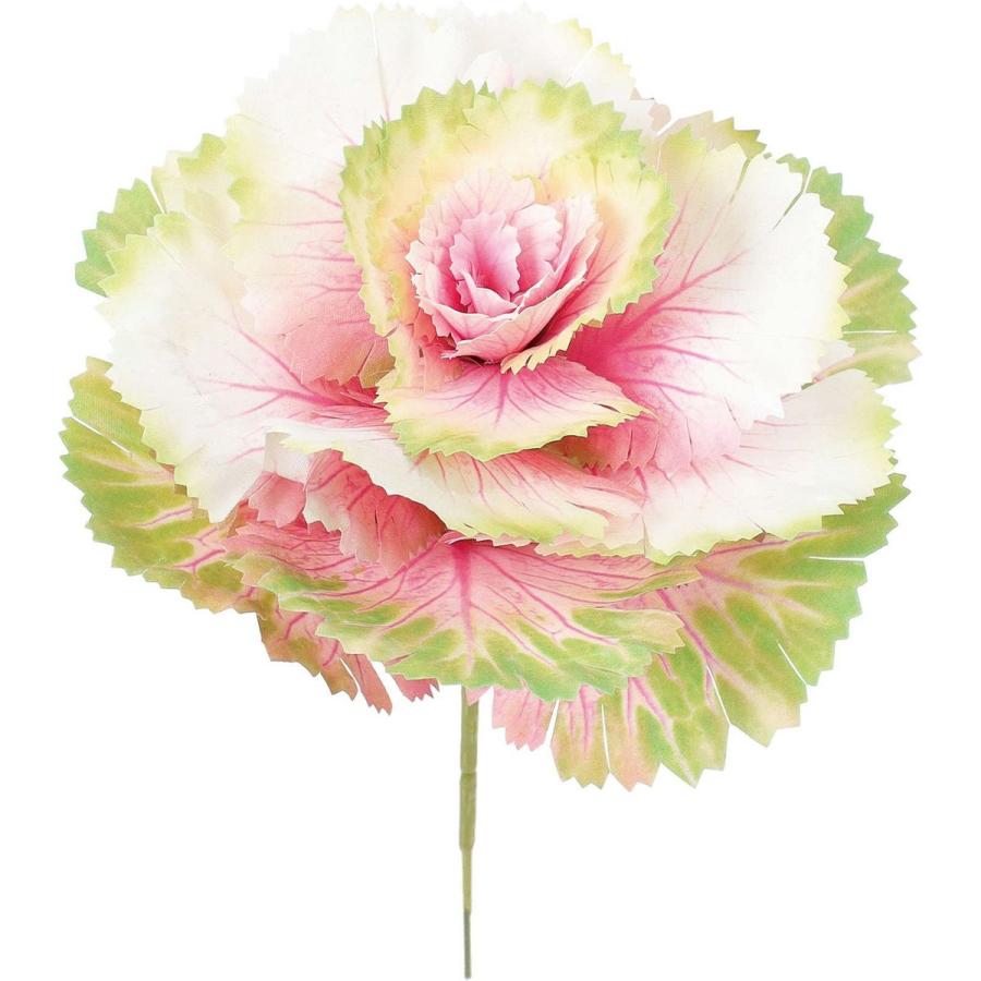 造花 YDM 葉牡丹ピック FS-5506-P 花材「は行」 ハボタン 葉牡丹 : はなどんやアソシエ - 通販 - Yahoo!ショッピング