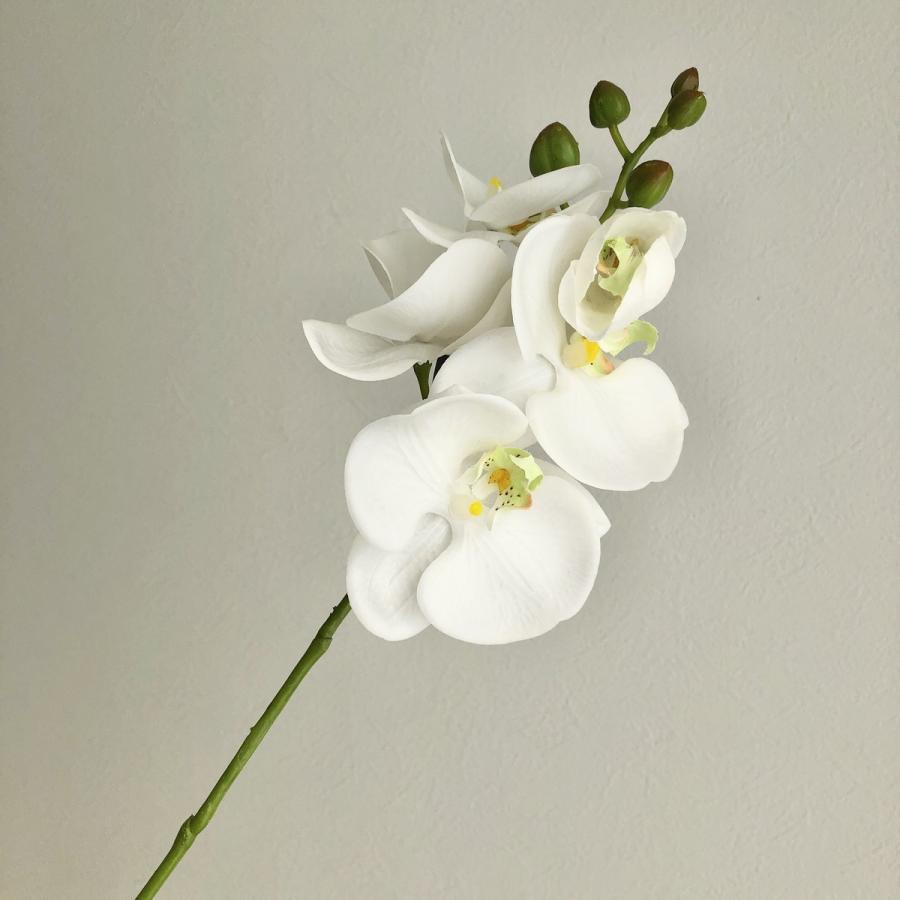 造花 アスカ コチョウラン×5 つぼみ×5 ホワイト A-34541-1 花材「か行」 コチョウラン 胡蝶蘭 : はなどんやアソシエ - 通販 ...