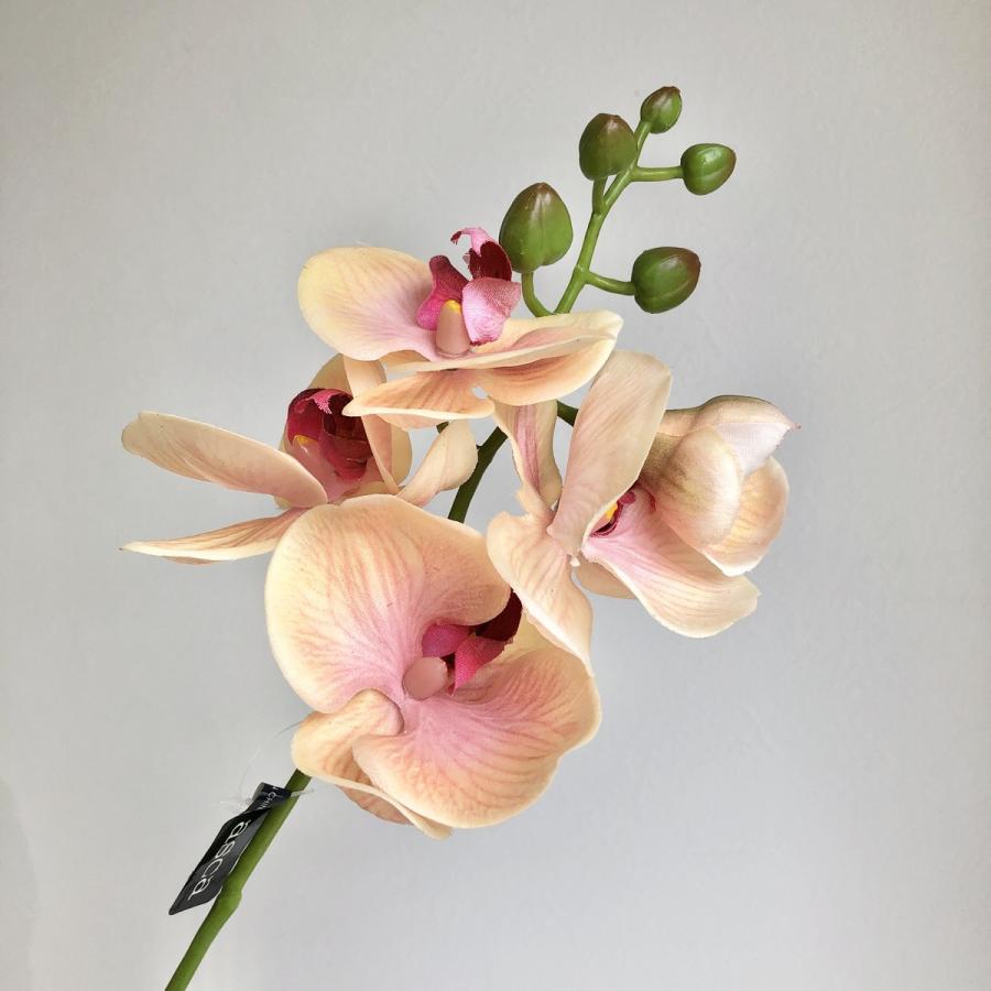 造花 アスカ コチョウラン×5 つぼみ×5 ピーチ A-34541-4 花材「か行」 コチョウラン 胡蝶蘭 : はなどんやアソシエ - 通販 ...
