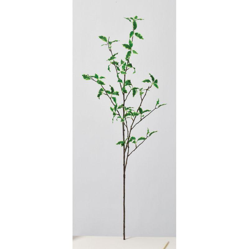 造花 アスカ ピットスポラム ヴァリゲイトグリーン A-44096-51V 造花葉物 : はなどんやアソシエ - 通販 - Yahoo!ショッピング