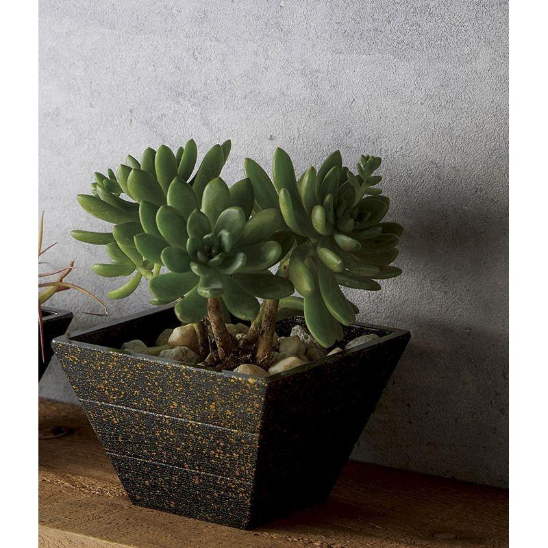 松野ホビー ブリエ テトラM GM-4222 6個 花器 花瓶 プラスチック アクリル花器 : はなどんやアソシエ - 通販 - Yahoo!ショッピング