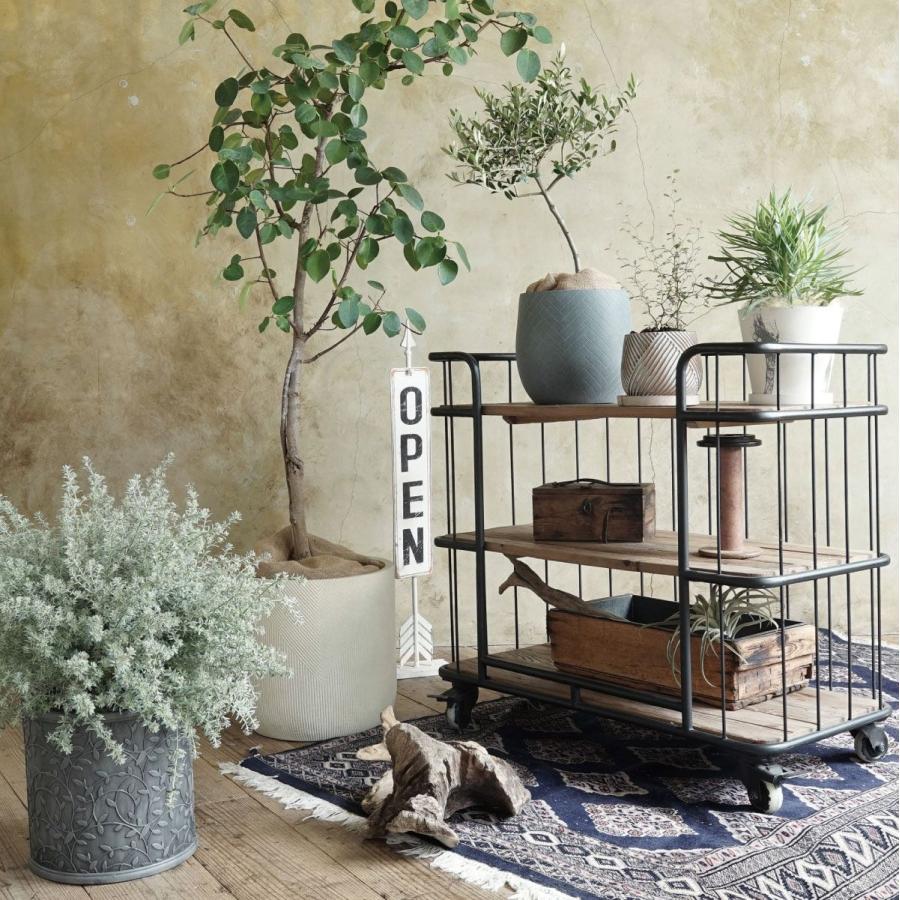 CARNAC リーフモチーフラウンドL−IV アイボリー PM34LIV 園芸用品 植木鉢 フラワーポット グラスファイバー鉢 :104-09815:はなどんやアソシエ - 通販 ...