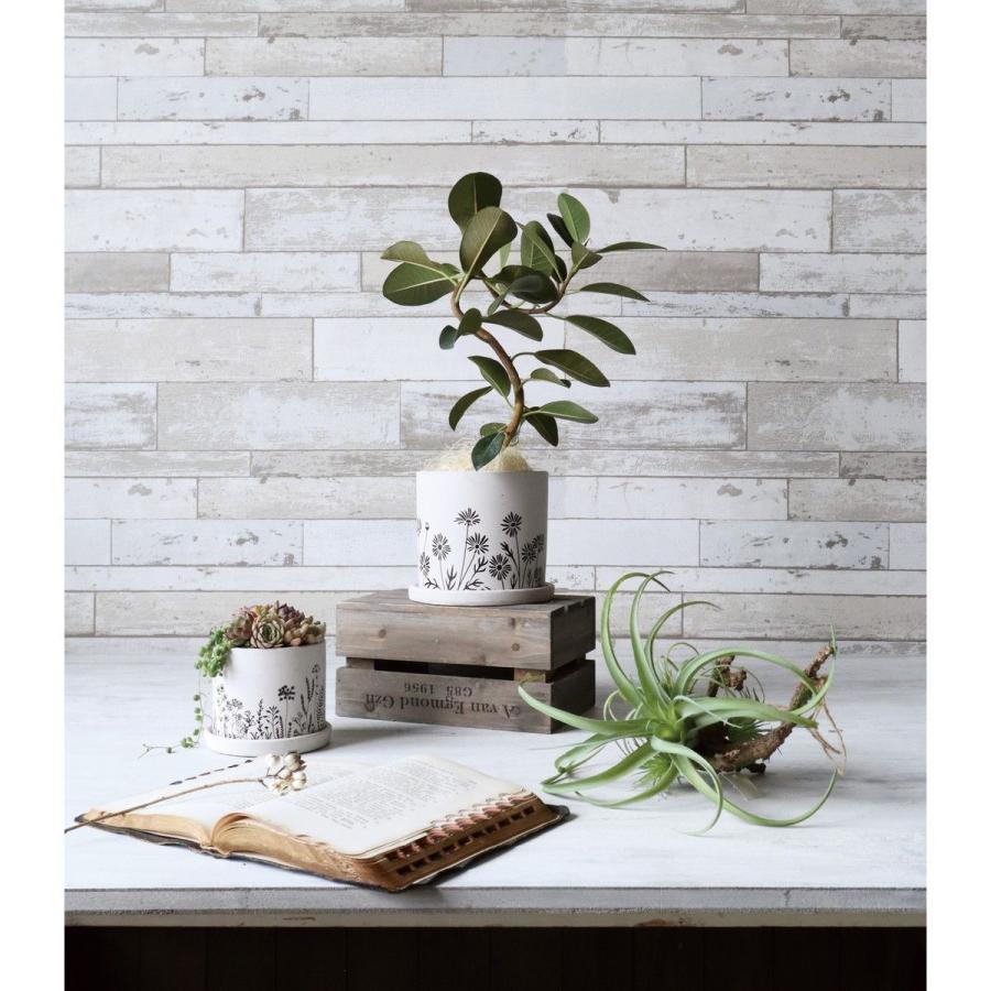 CARNAC フラワーアンプリメ01-L ホワイト CP2501L 園芸用品 植木鉢 フラワーポット テラコッタ 素焼き : はなどんやアソシエ - 通販 - Yahoo!ショッピング