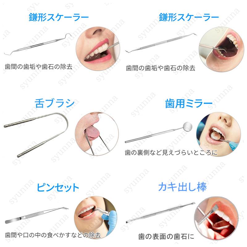 br12# 6本セット 歯用ツール 当日発送 歯石取り器具 デンタルツール 歯間 ヤニ 歯垢取り ステンレス製 歯石取り自分で 自宅用 口臭予防 専用ケース付き : br12 ...