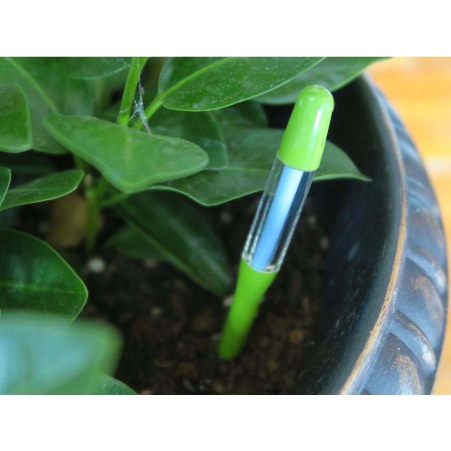 SUS tee サスティー Sサイズ、Mサイズ 2個セット :sasu01:花乃横丁 - 通販 - Yahoo!ショッピング