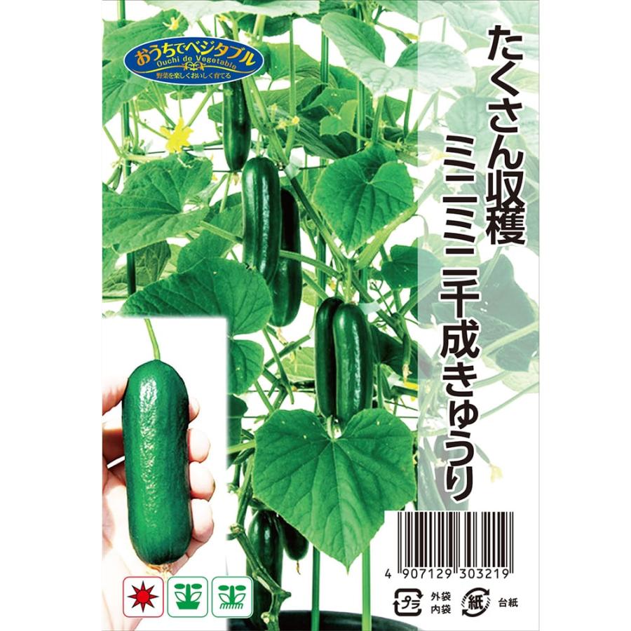きゅうり ミニミニ千成キュウリ 6粒 （種蒔時期 4月〜5月） : 苗木部 花ひろばオンライン - 通販 - Yahoo!ショッピング
