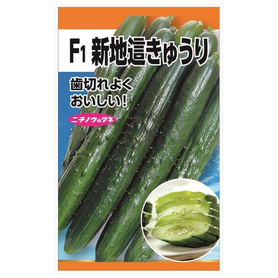 きゅうり F1新地這きゅうり 種・小袋 （3ml） : 苗木部 花ひろばオンライン - 通販 - Yahoo!ショッピング
