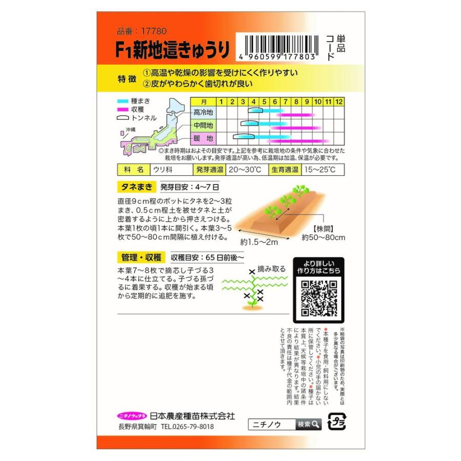 きゅうり F1新地這きゅうり 種・小袋 （3ml） : tanex-0010 : 苗木部 花ひろばオンライン - 通販 - Yahoo!ショッピング
