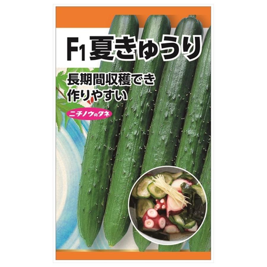 F1夏きゅうり 種・小袋 （2ml） : tanex-0014 : 苗木部 花ひろばオンライン - 通販 - Yahoo!ショッピング