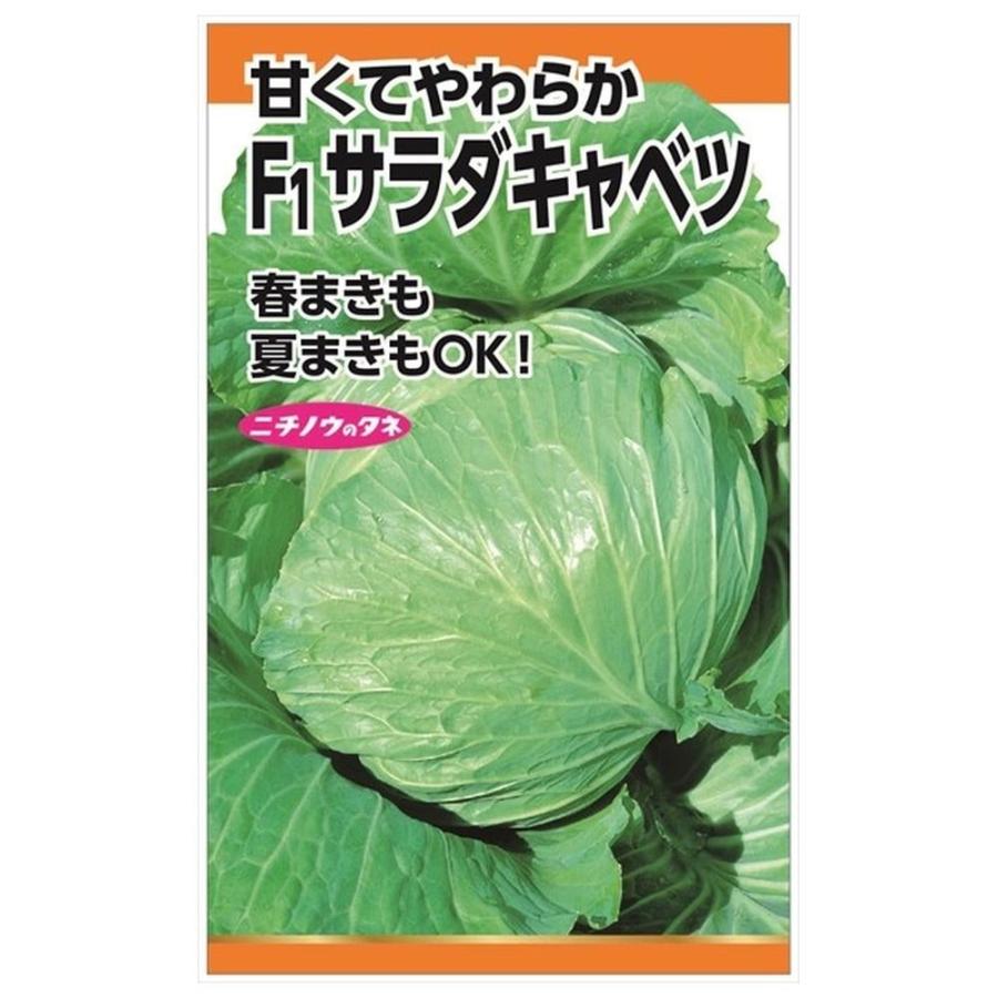 キャベツ F1サラダキャベツ 種・小袋 （2ml） : 苗木部 花ひろばオンライン - 通販 - Yahoo!ショッピング
