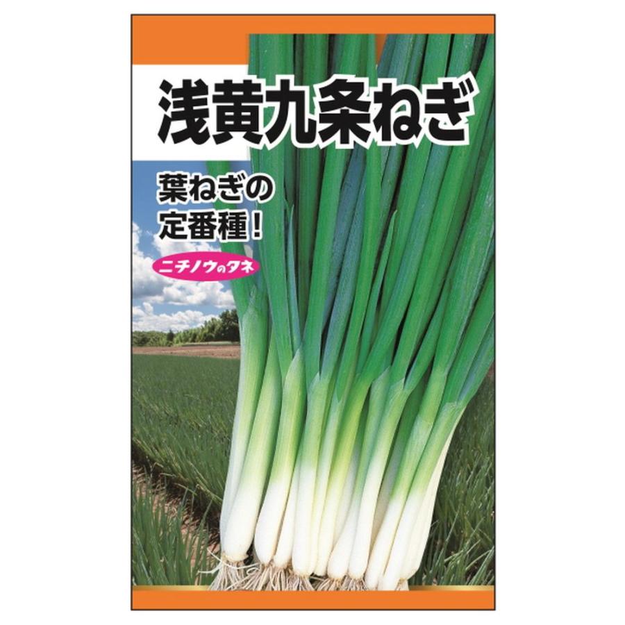 ねぎ 九条ねぎ(浅黄) 種・小袋 （7ml） 固定種 : 苗木部 花ひろばオンライン - 通販 - Yahoo!ショッピング
