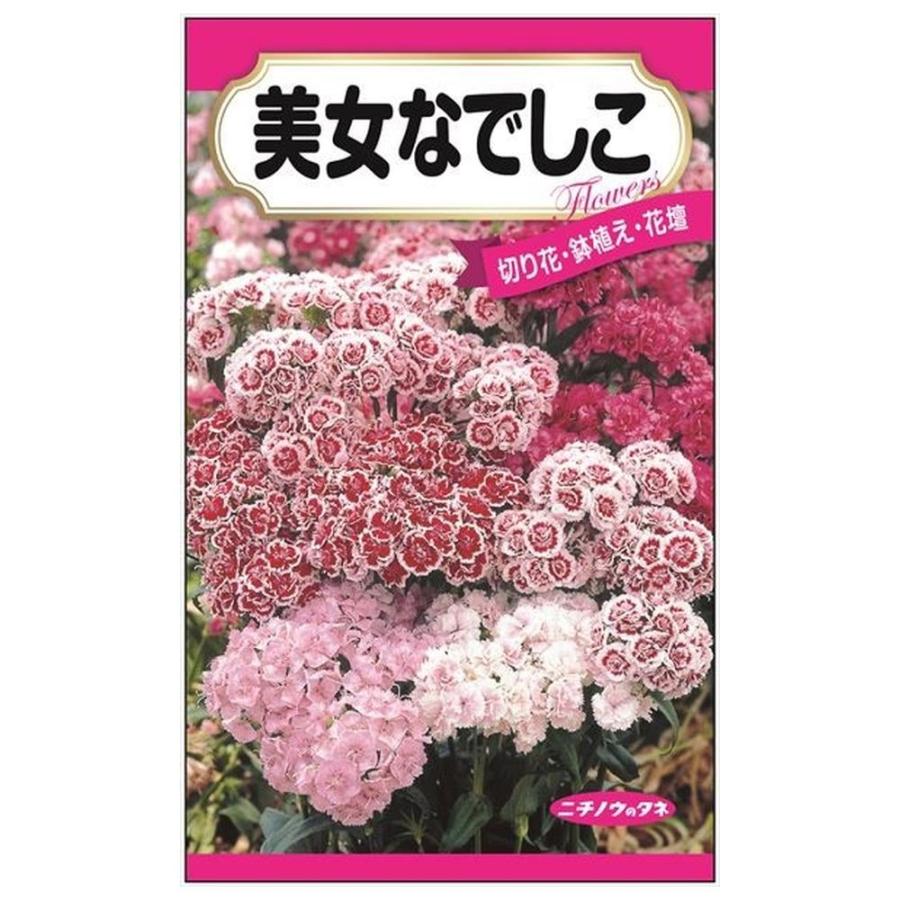 美女なでしこ 種・小袋 （0.3ml） 固定種 : 苗木部 花ひろばオンライン - 通販 - Yahoo!ショッピング