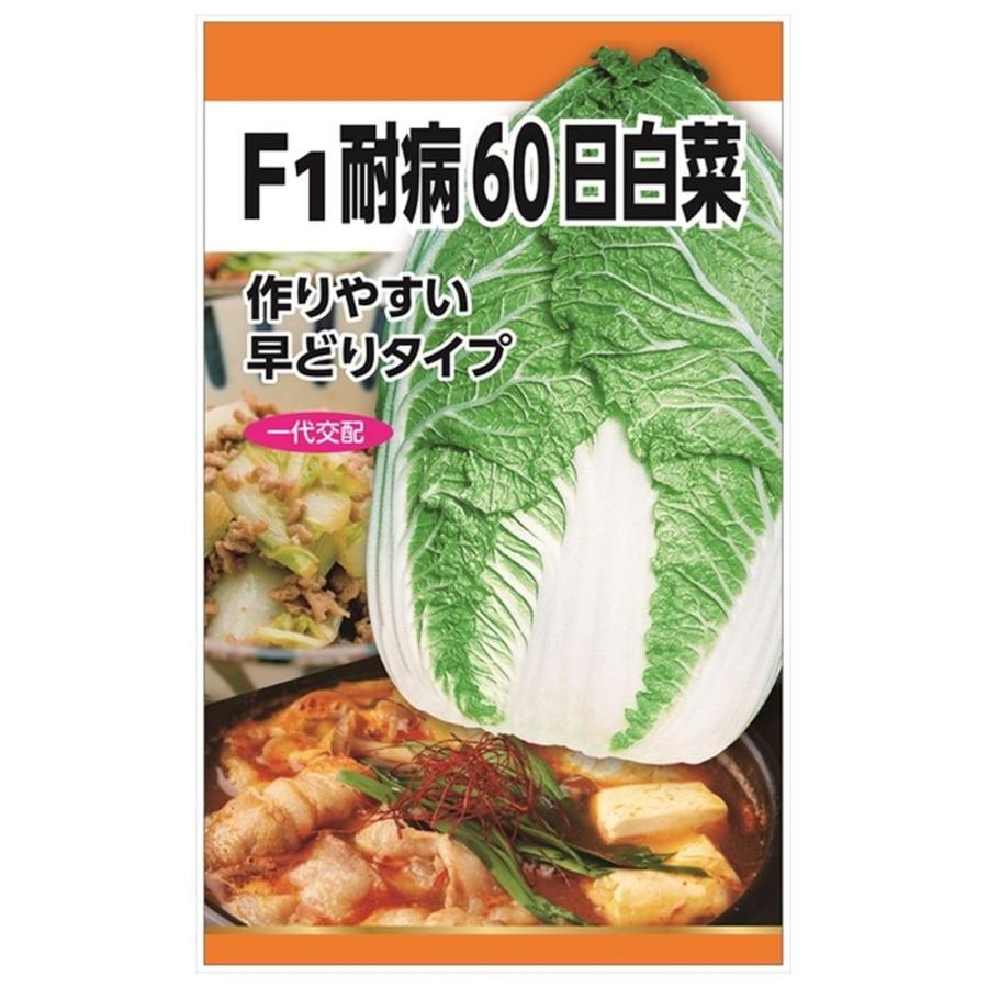 白菜 F1耐病60日白菜 種・小袋 （3ml） : 苗木部 花ひろばオンライン - 通販 - Yahoo!ショッピング