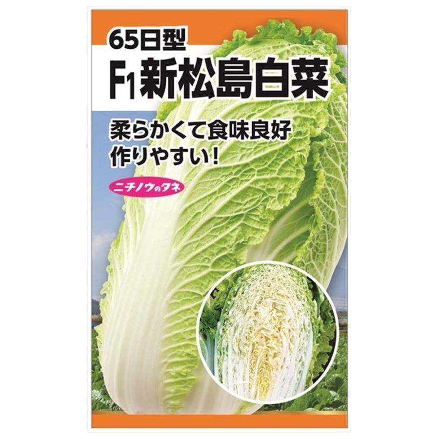 白菜 F1新松島白菜 種・小袋 （3ml） : 苗木部 花ひろばオンライン - 通販 - Yahoo!ショッピング