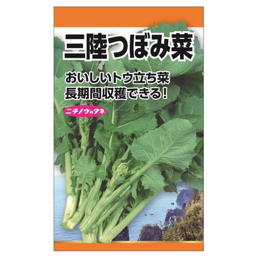 三陸つぼみ菜 種・小袋 （6ml） 固定種 : 苗木部 花ひろばオンライン - 通販 - Yahoo!ショッピング